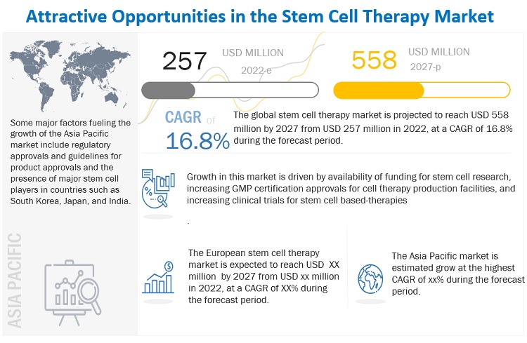 Unlocking the Potential of Stem Cells: Market Insights and Trends ...