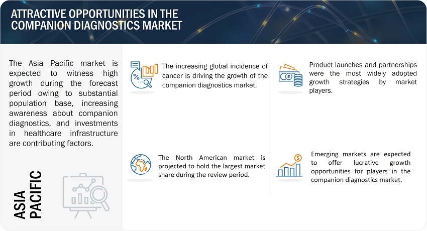 The Essential Guide to Companion Diagnostics: Advancing Precision ...